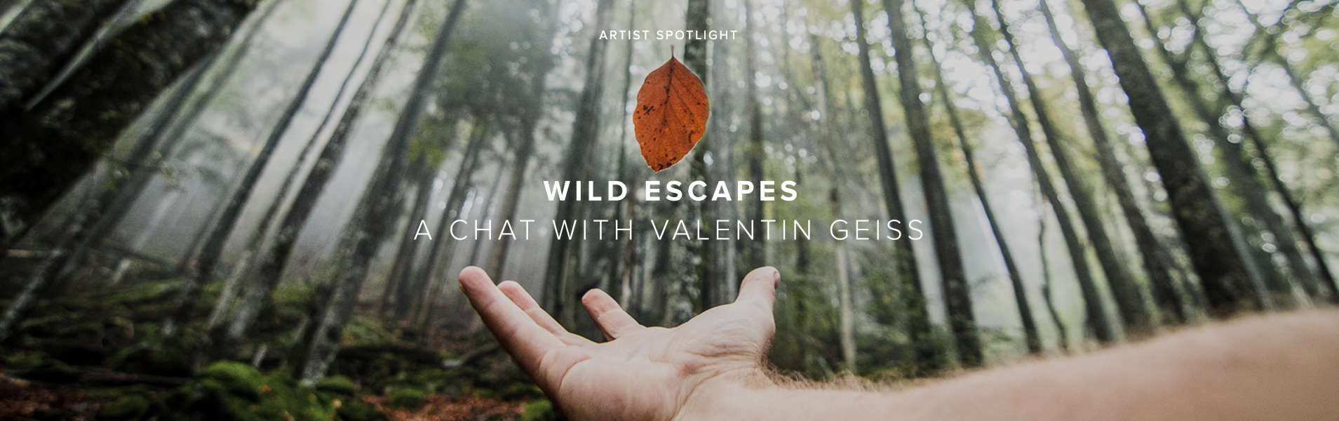 Artist Spotlight - Valentin Geiss - miPic | Blog